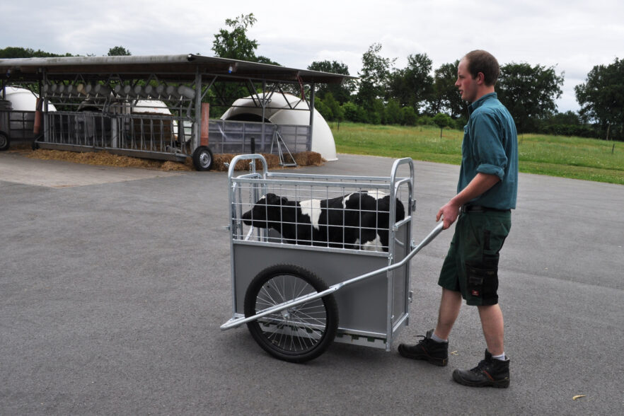 CalfBuggy Calf cart