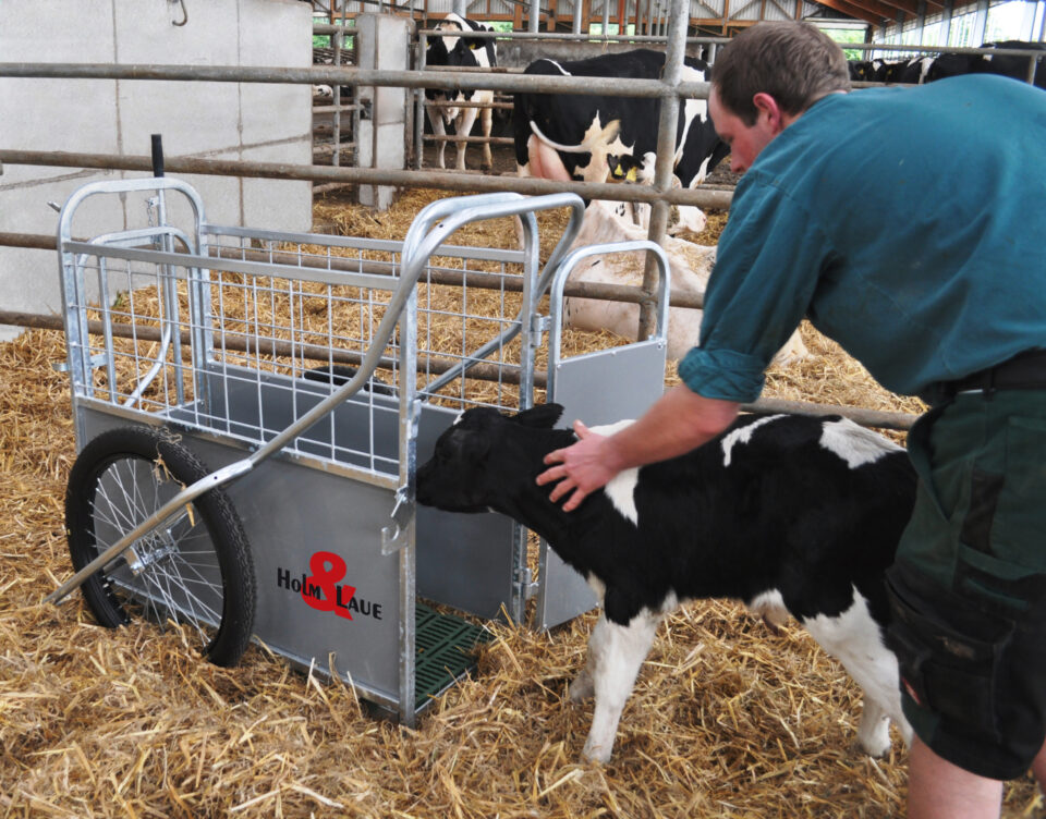 CalfBuggy Calf cart