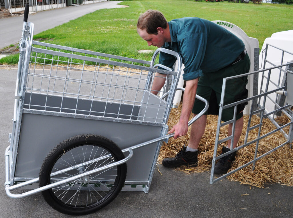 CalfBuggy Calf cart